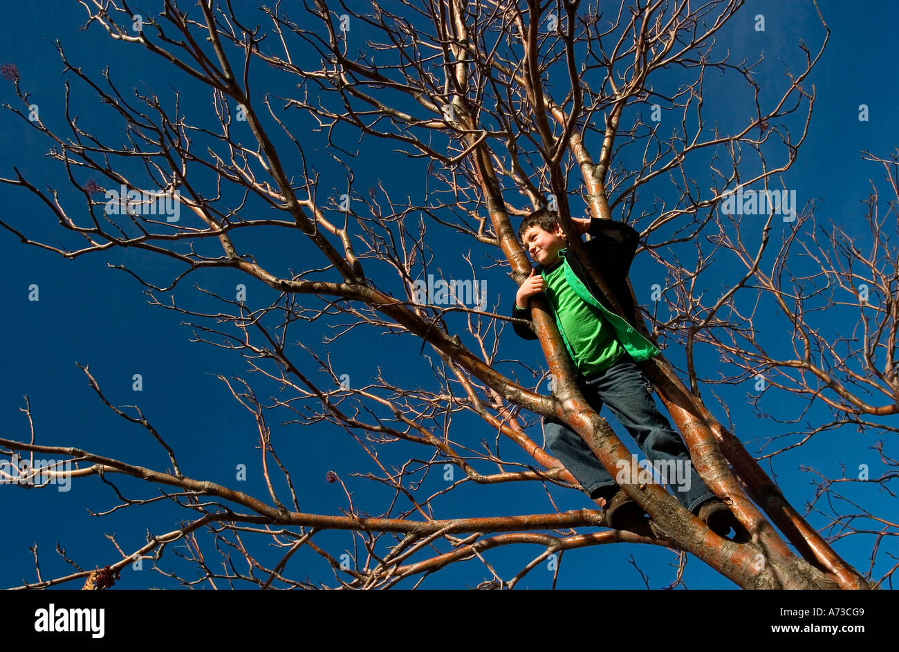 Tnl0063 hi-res stock photography and images - Alamy