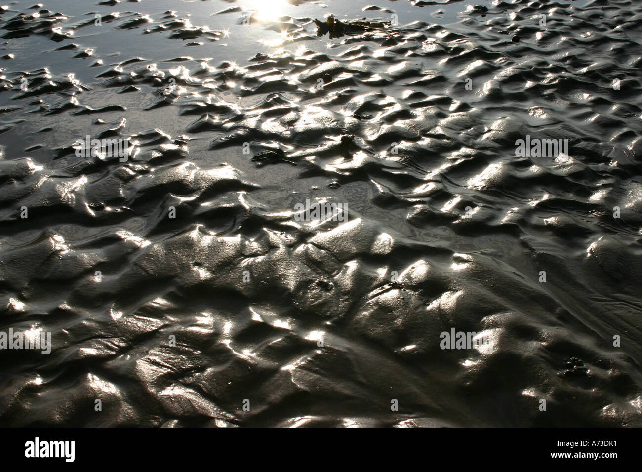 Sand ripples on beach Stock Photo - Alamy