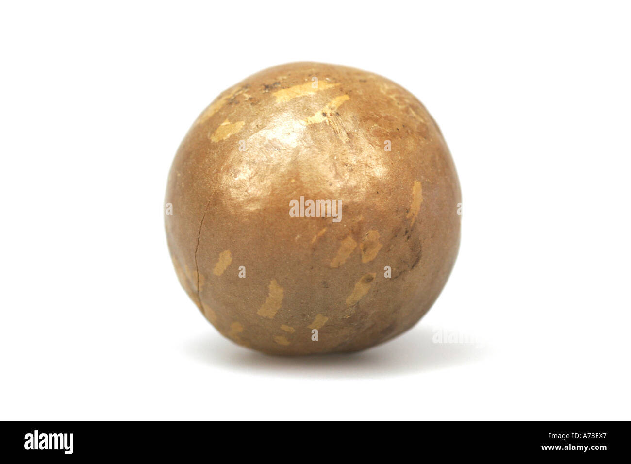 Macadamia nut plants Cut Out Stock Images & Pictures - Alamy