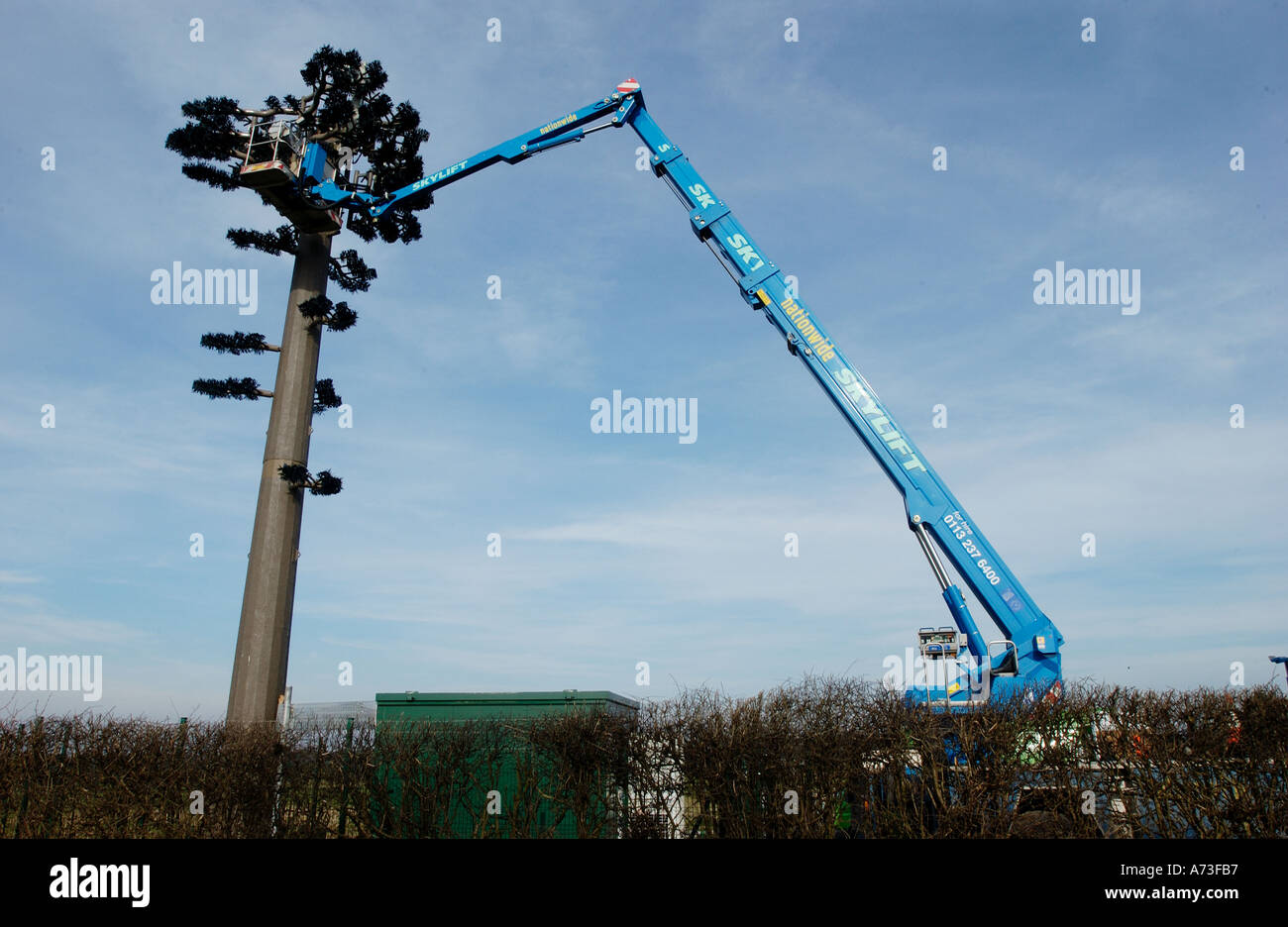 mobile phone mast made to look like a tree cellular phone mast mobile ...
