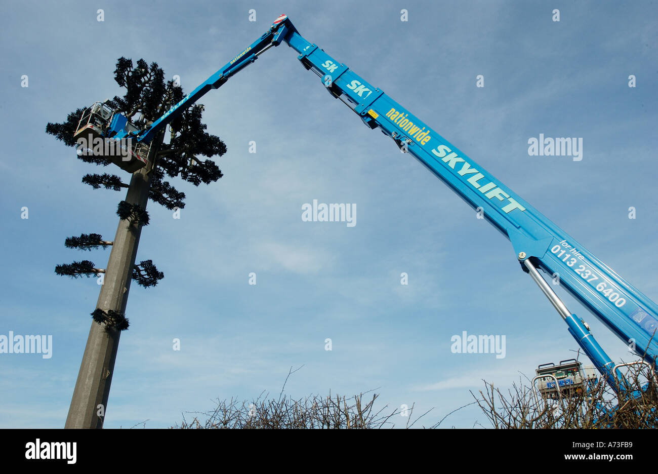 mobile phone mast made to look like a tree cellular phone mast mobile ...