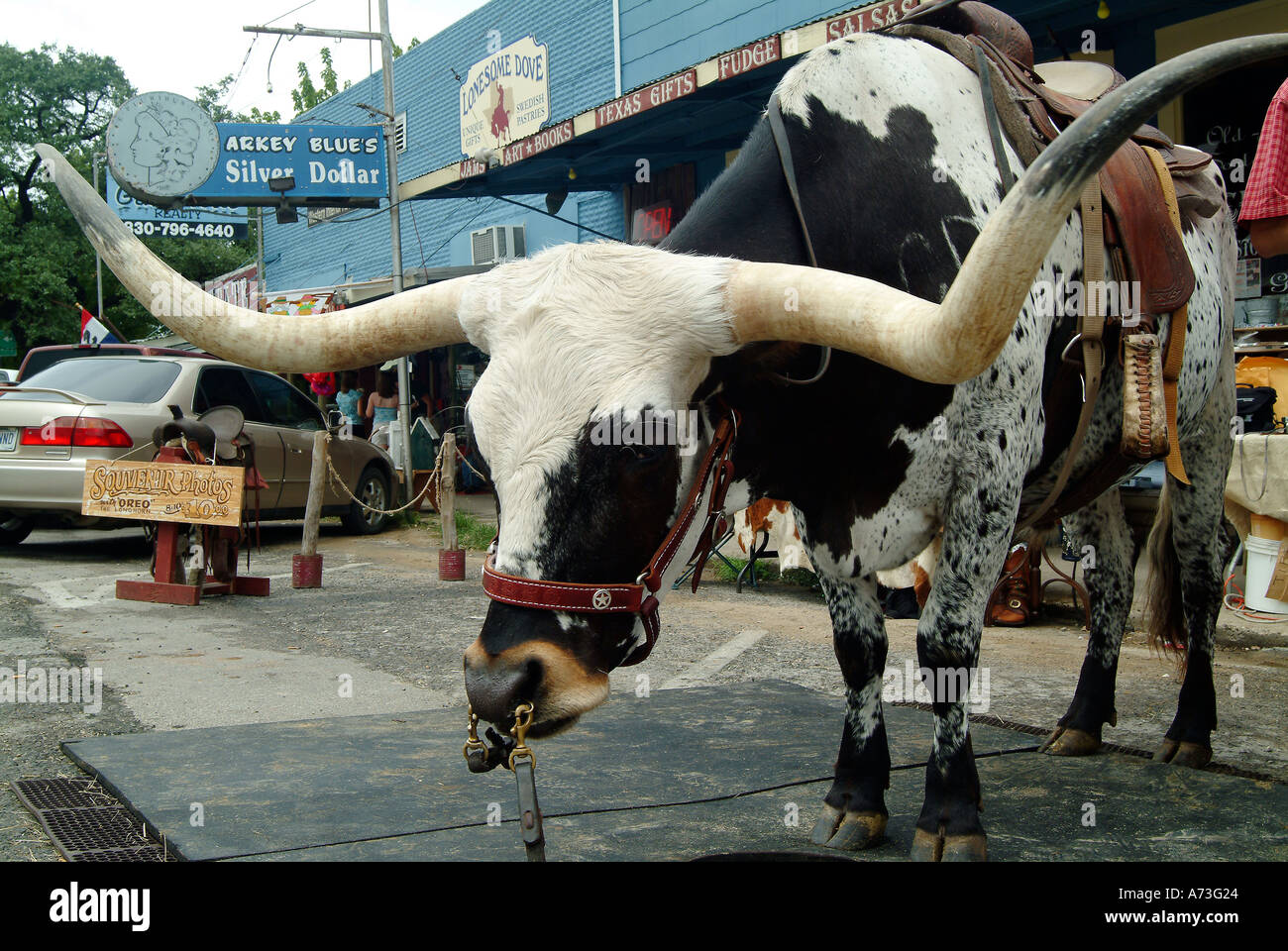 Bandera texas ranch hi-res stock photography and images - Alamy