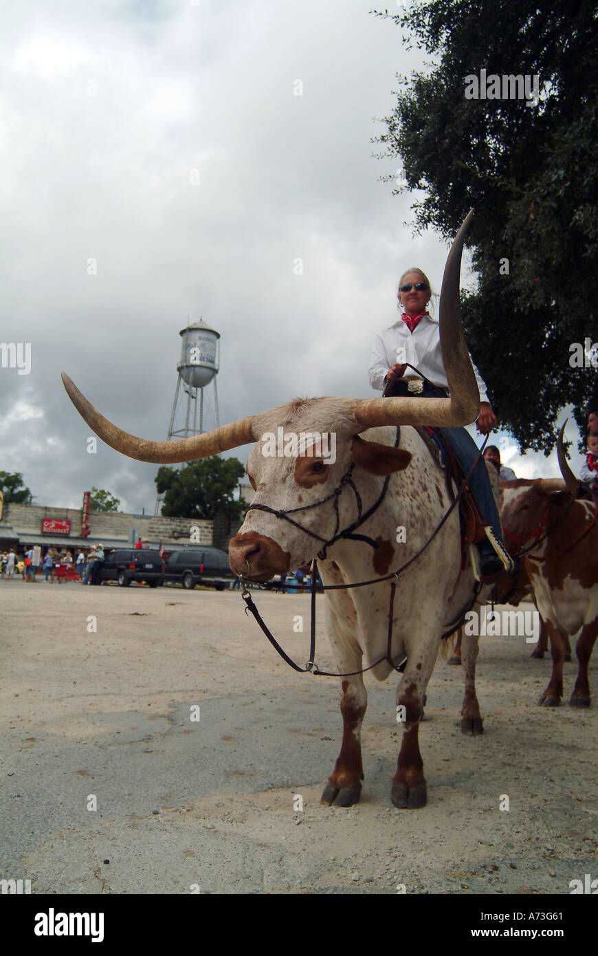 A woman riding a longhorn in Bandera Texas Stock Photo - Alamy