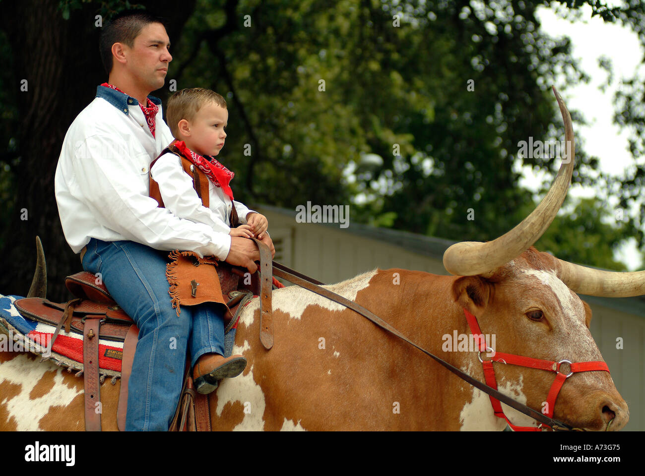 A man and his son riding a longhorn in Bandera Texas Stock Photo - Alamy