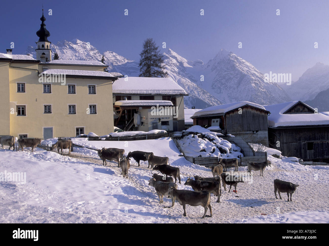 Ftan hi-res stock photography and images - Alamy