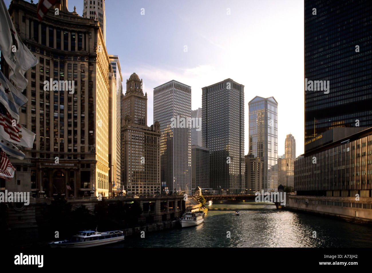 Chicago forest hi-res stock photography and images - Alamy