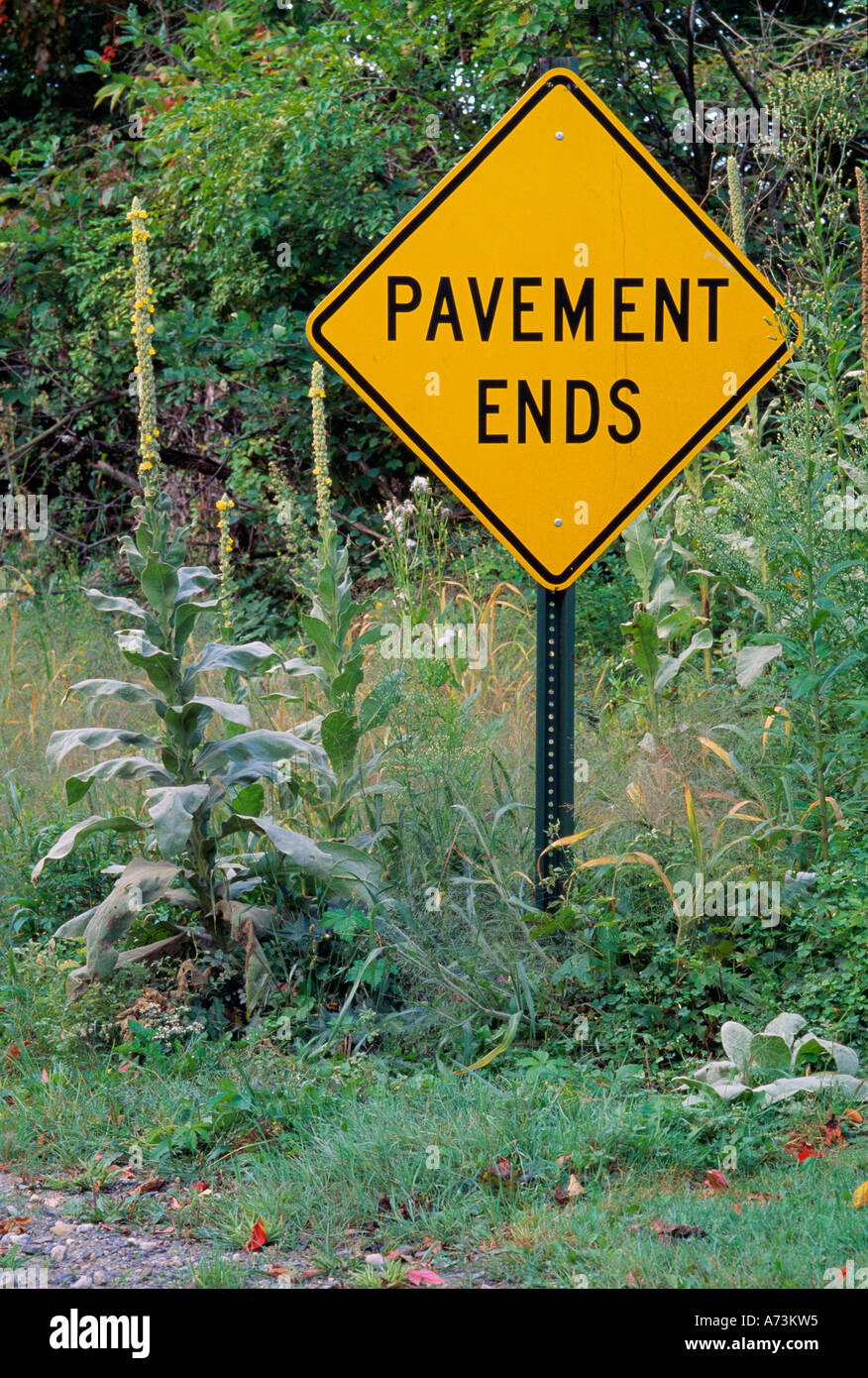 Overgrown road sign Stock Photo - Alamy