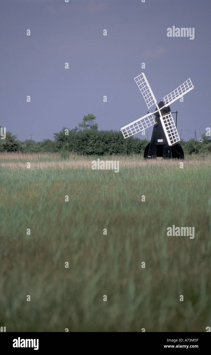 Wickham fen hi-res stock photography and images - Alamy