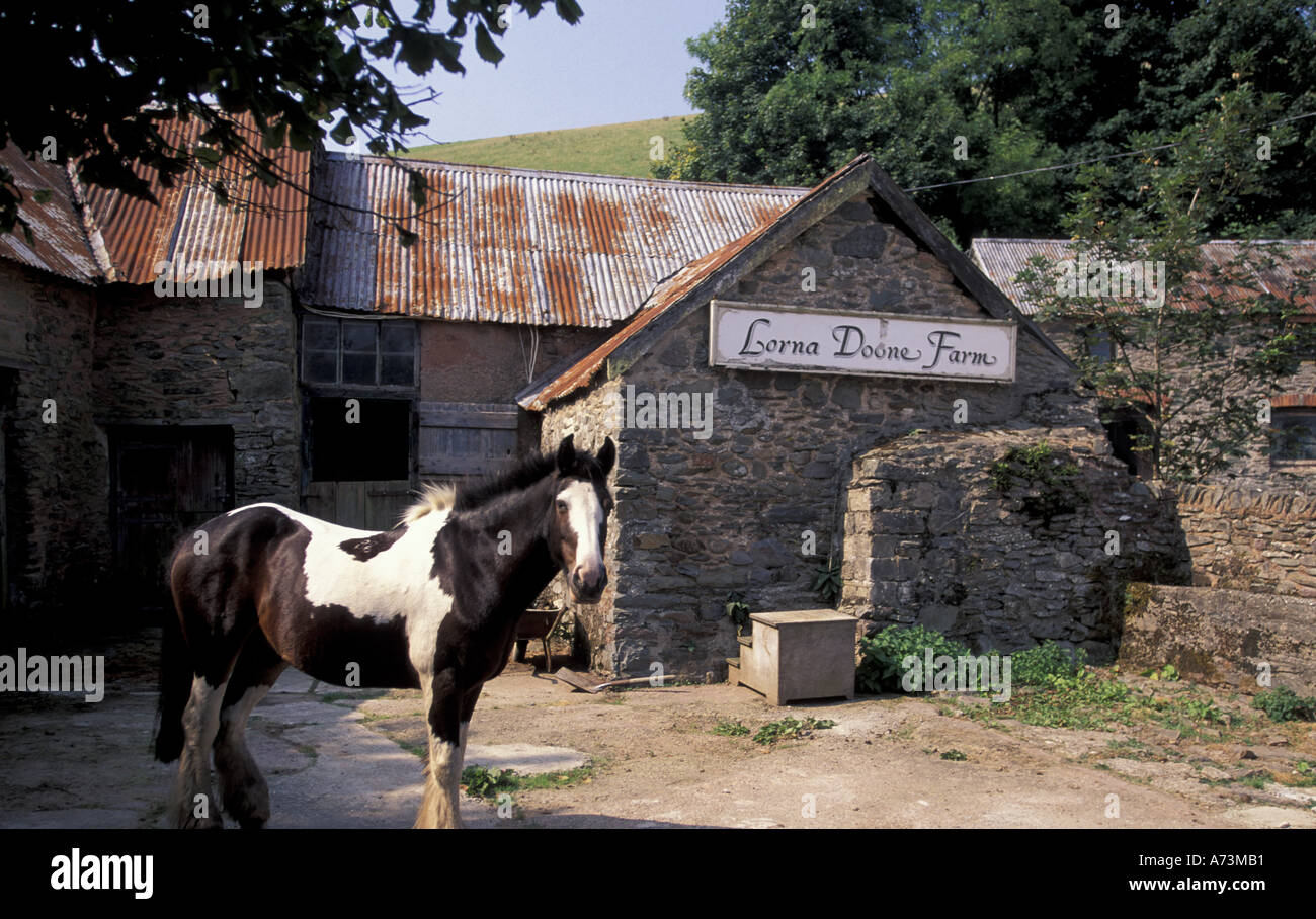 Riding stables hi-res stock photography and images - Alamy
