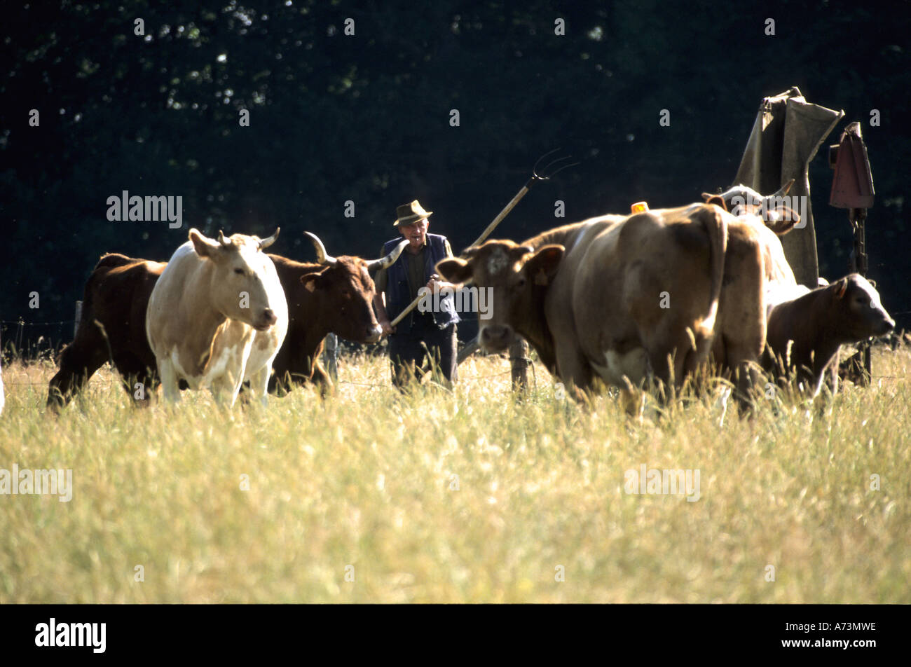 Cowboy scarecrow hi-res stock photography and images - Alamy