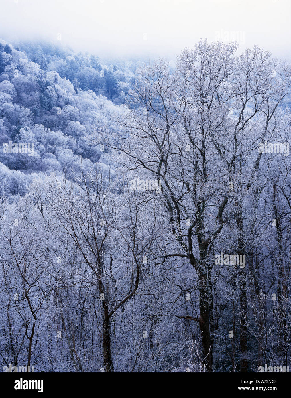 Black gap road hi-res stock photography and images - Alamy