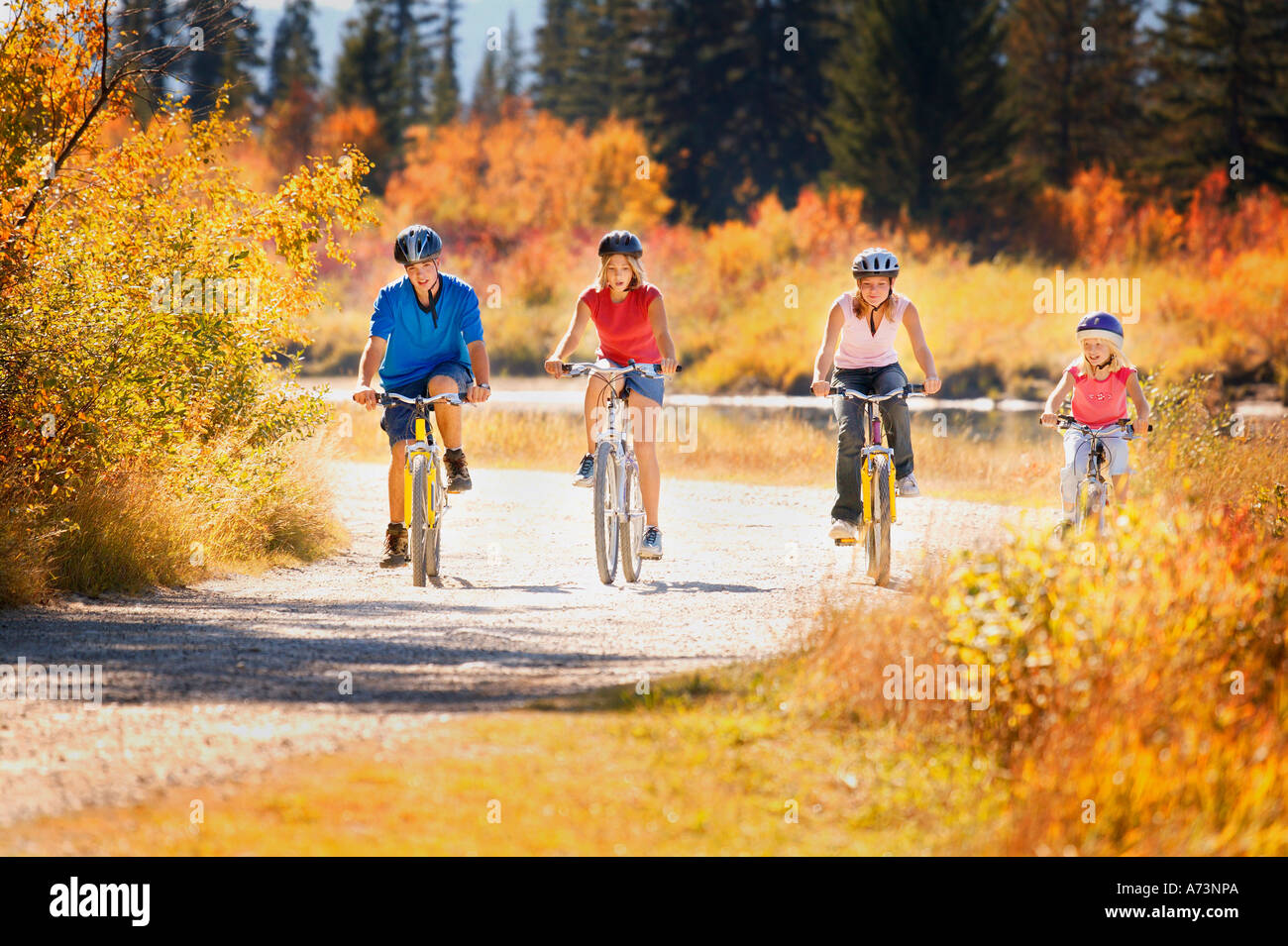 Family cycling together Stock Photo - Alamy
