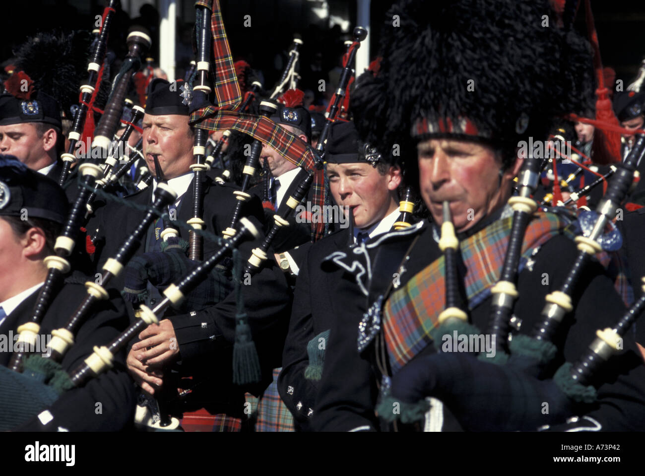 Scotland. Bagpipe players at Highland Games Stock Photo - Alamy