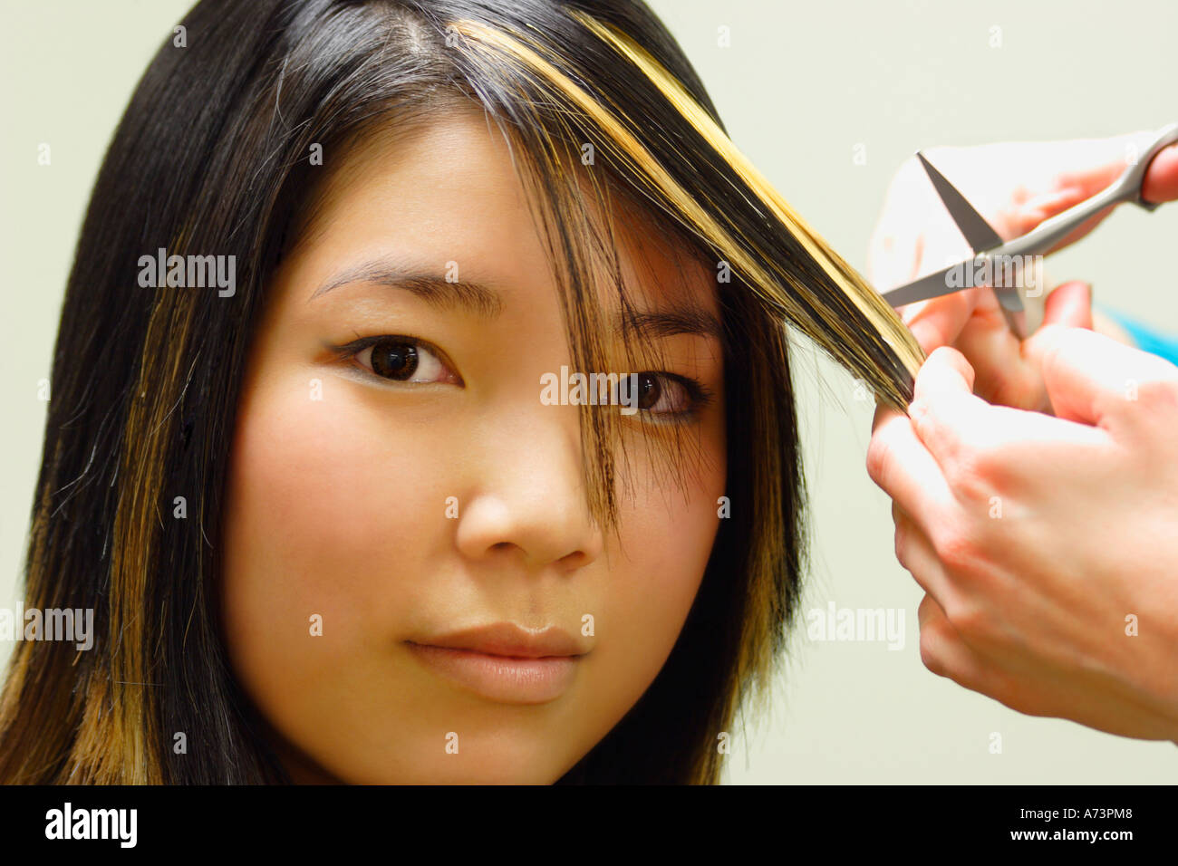 Getting a hair cut Stock Photo - Alamy