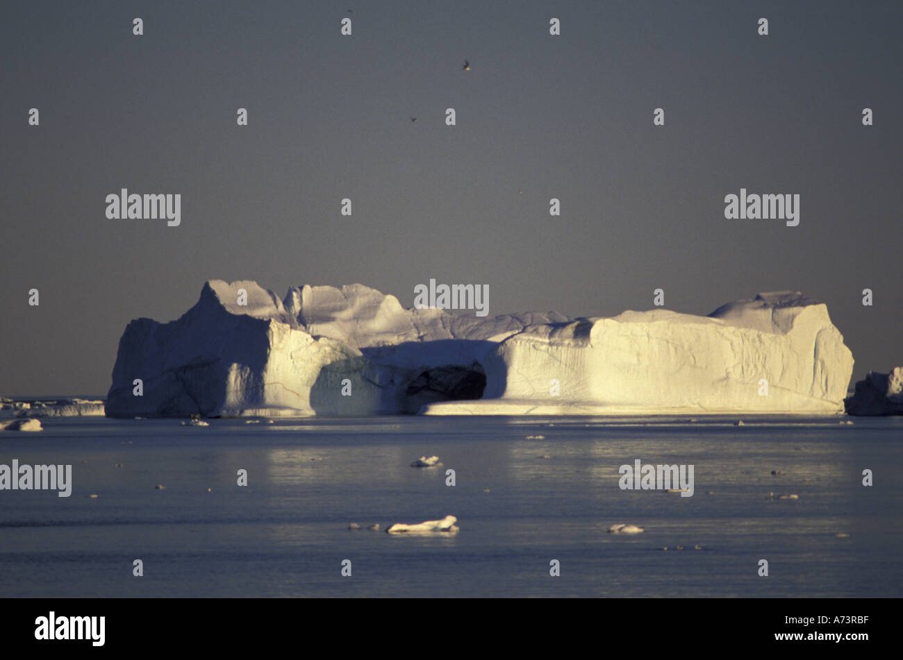 Greenland. Tabular ice floe with open water and birds Stock Photo - Alamy