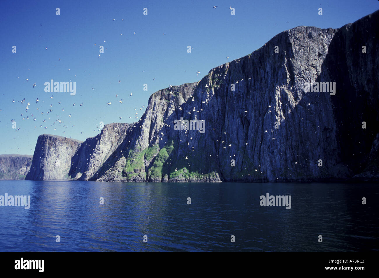 Greenland waterscape hi-res stock photography and images - Alamy