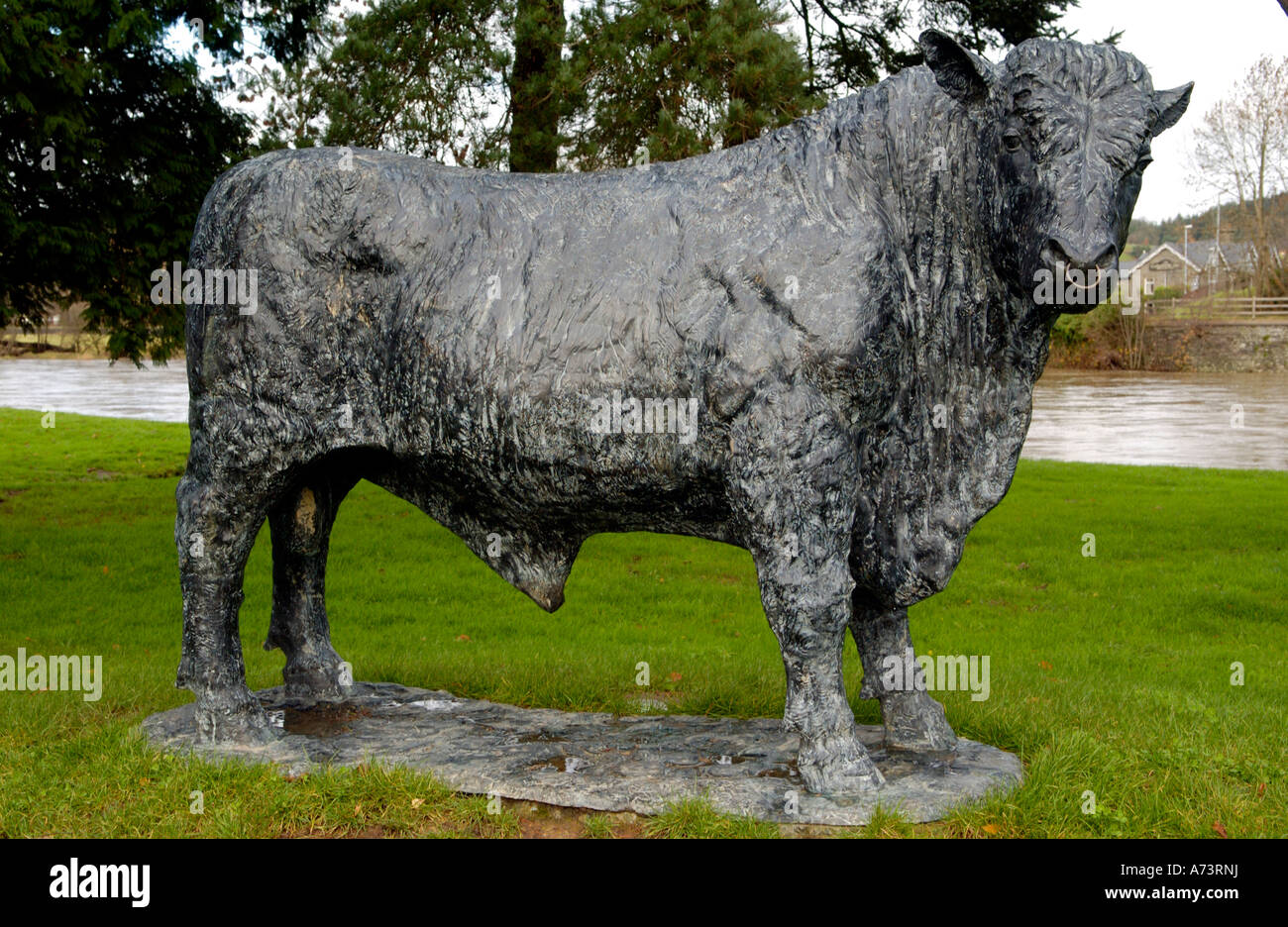 Lifesize bronze sculpture of a bull on banks of River Wye at Builth ...