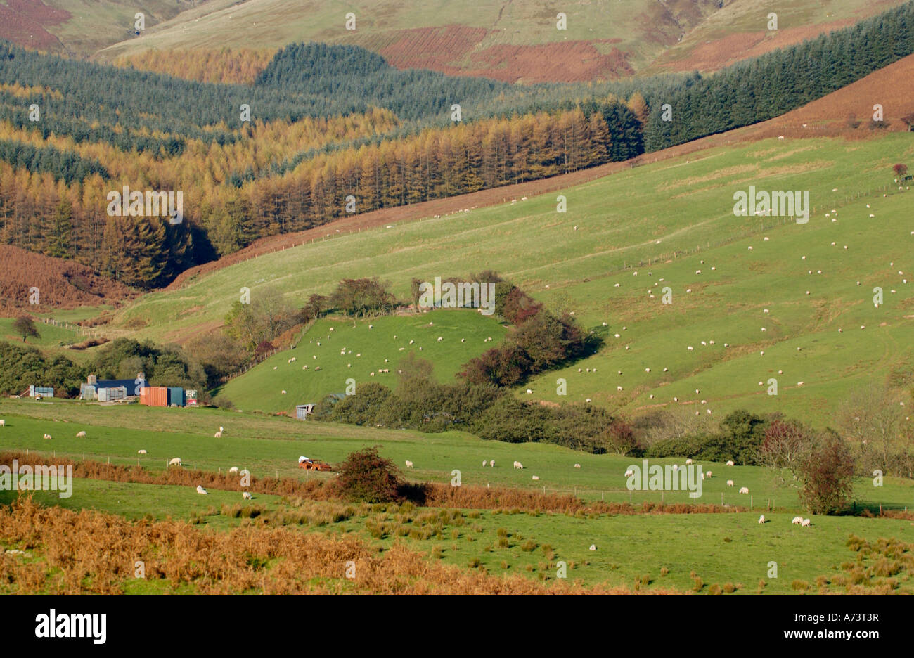 Farming agriculture mid wales landscape hi-res stock photography and ...