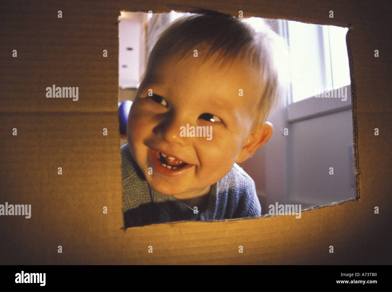 N.A., USA, Washington, Bellevue. 1 year old boy peeking through box (MR ...
