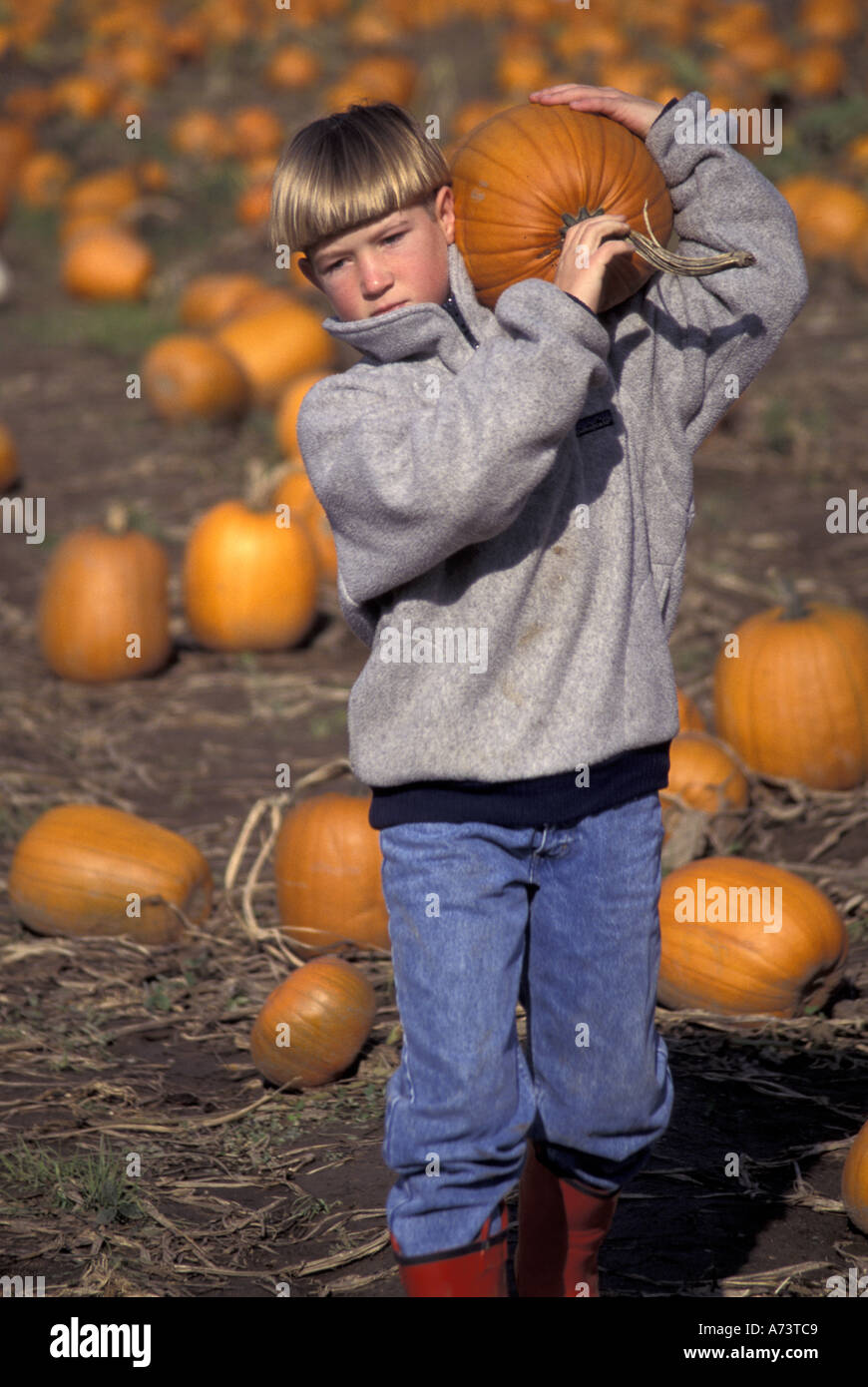 Boy carrying pumpkin Stock Photo - Alamy