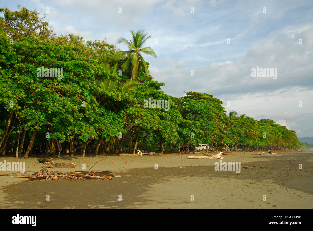 Matapalo Beach, Puntarenas Province, Cenral Pacific Region, Costa Rica ...