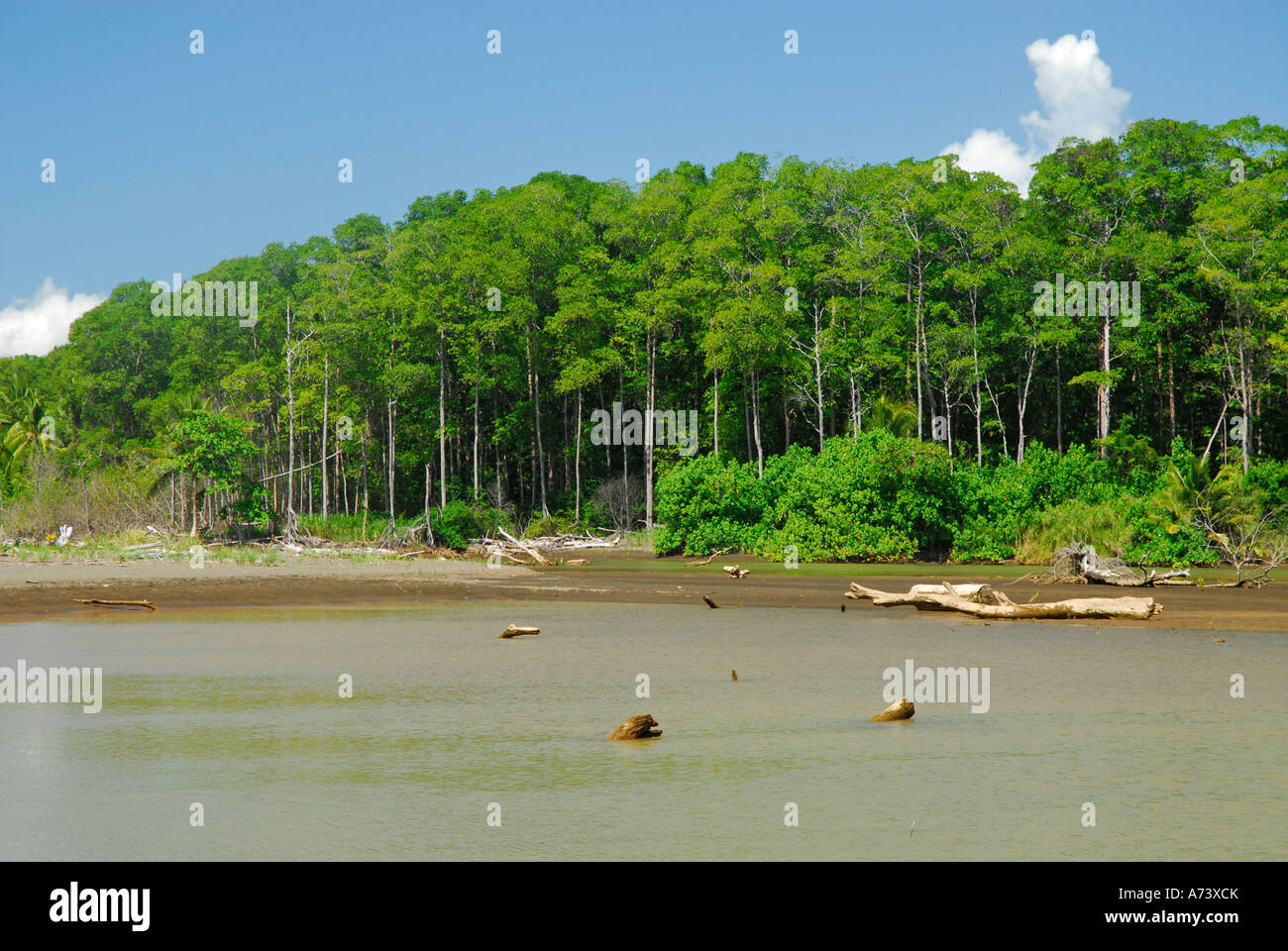 Mouth of river on Matapalo Beach, Puntarenas Province, Cenral Pacific ...