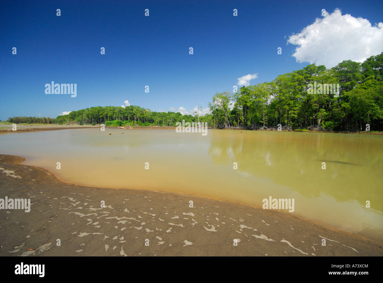 Mouth of river on Matapalo Beach, Puntarenas Province, Cenral Pacific ...