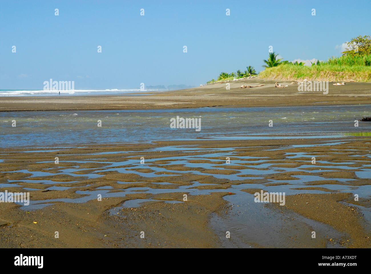 Mouth of river on Matapalo Beach, Puntarenas Province, Cenral Pacific ...