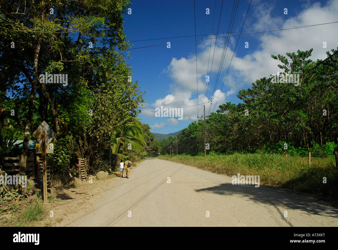 Street of Matapalo, Puntarenas Province, Cenral Pacific Region, Costa ...