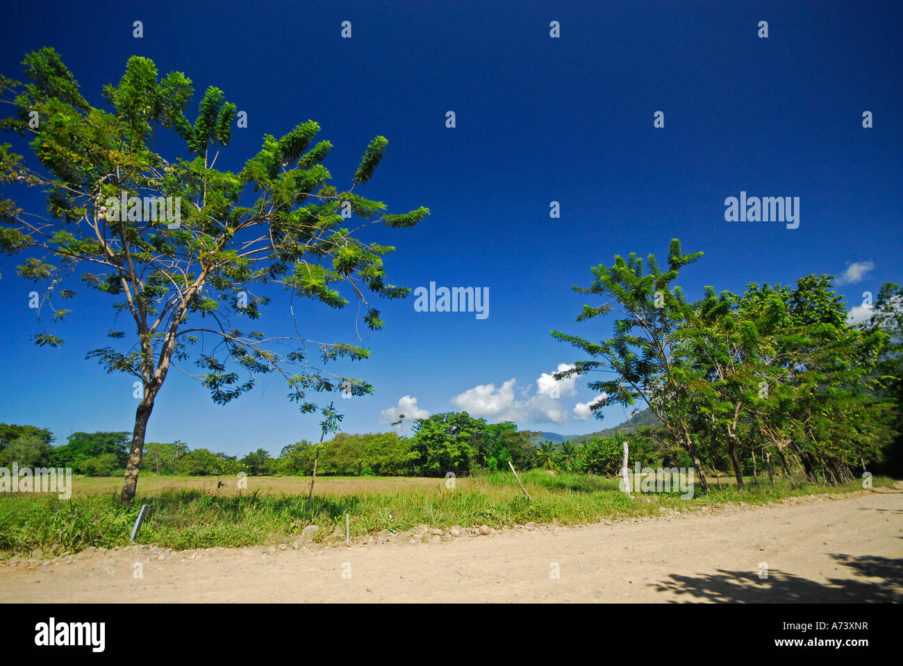 Street of Matapalo, Puntarenas Province, Cenral Pacific Region, Costa ...