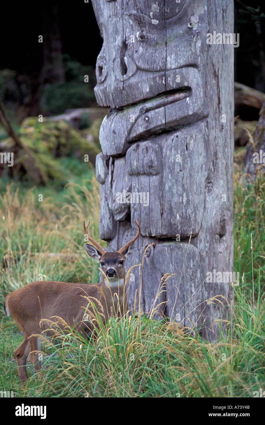 North America, Canada, Queen Charlotte Islands, Ninstints Village ...