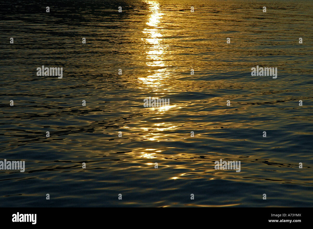 River water in sunset Stock Photo - Alamy