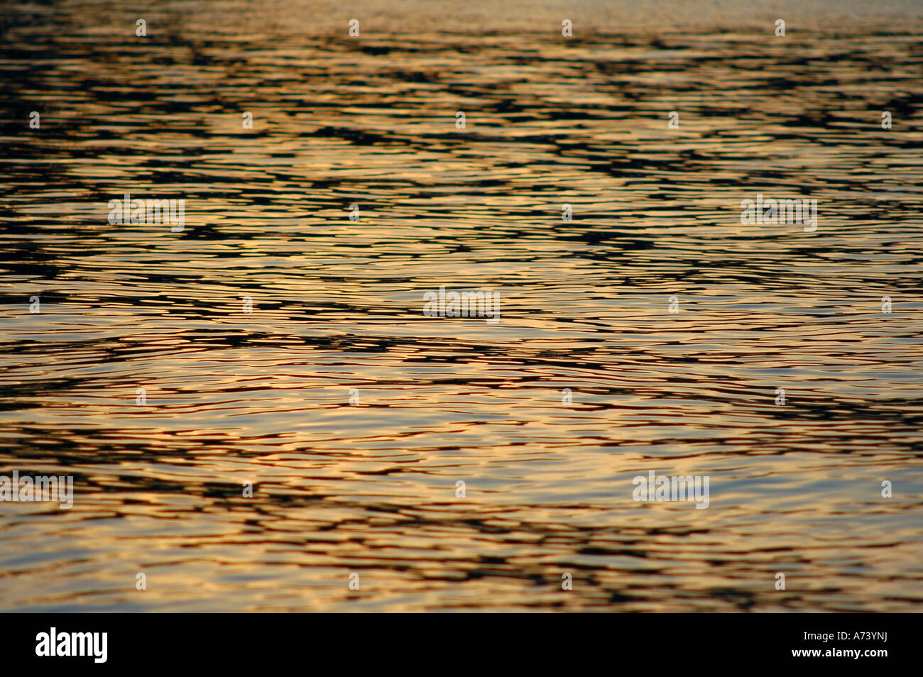 River water in sunset Stock Photo - Alamy