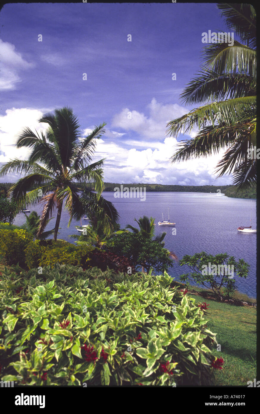 Neiafu harbor Vavau Island Tonga Stock Photo - Alamy