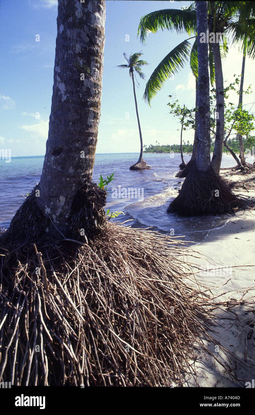 Si’umu samoa hi-res stock photography and images - Alamy