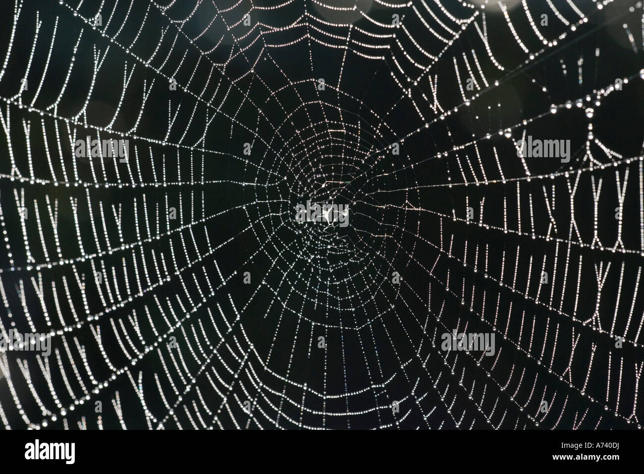 Web connections against black background hi-res stock photography and ...