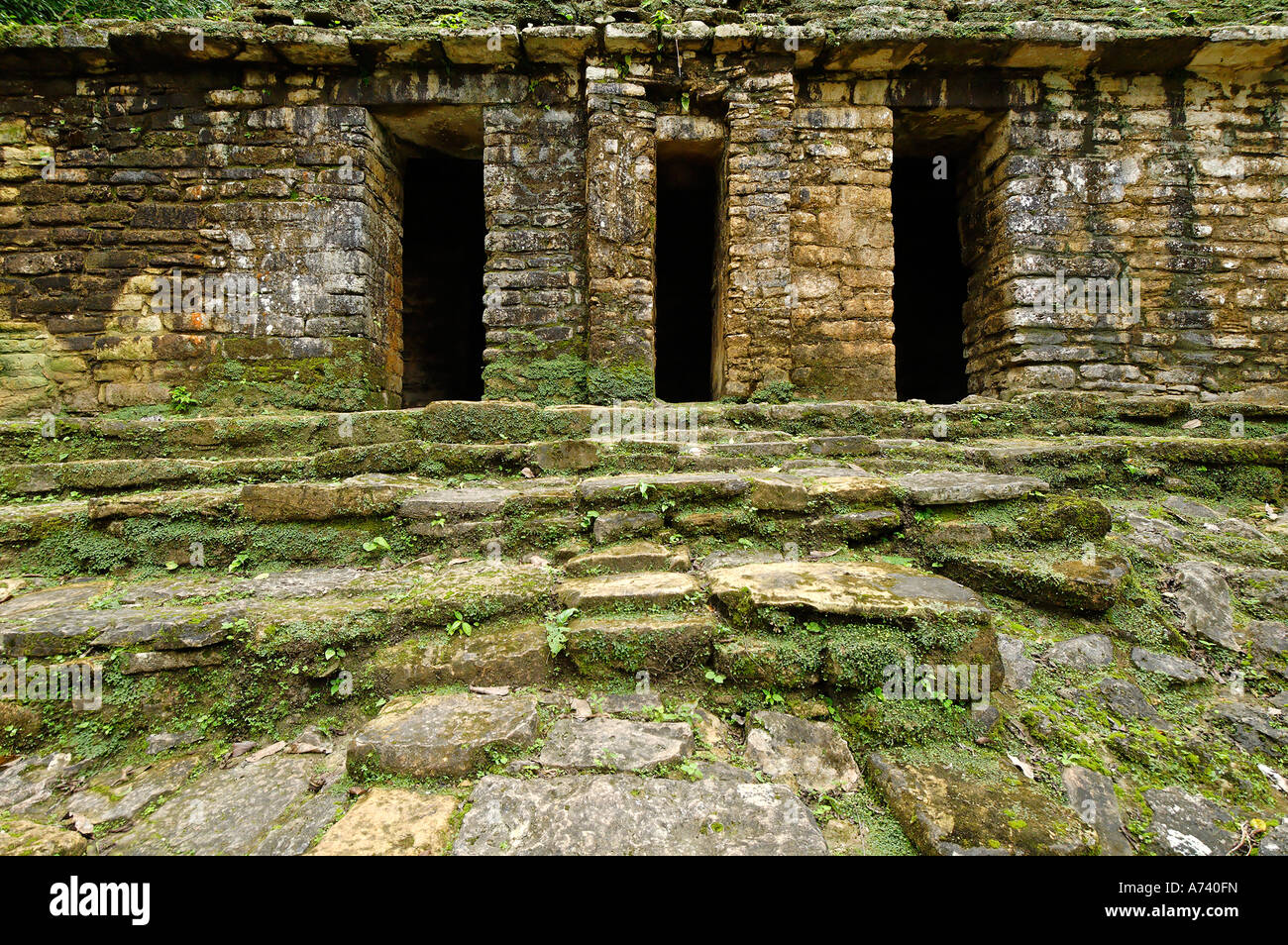 Yaxchilan structure hi-res stock photography and images - Alamy