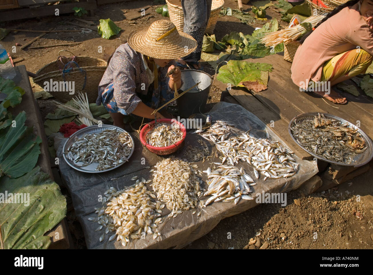 woman on the market of Kathar Myanmar Stock Photo - Alamy