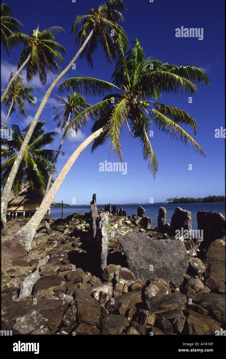 Marae temple Huahine French Polynesia Stock Photo - Alamy