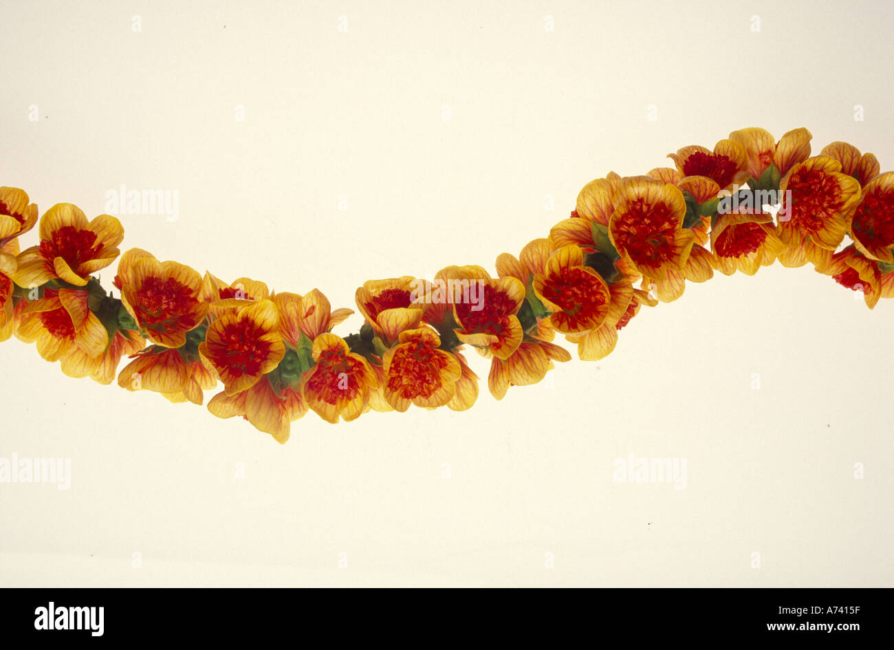 Ilima lei hawaii hi-res stock photography and images - Alamy