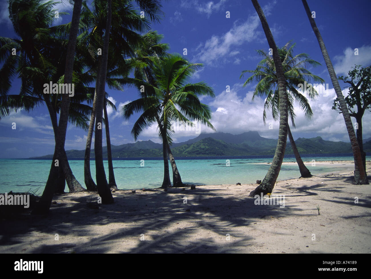 Motu island off Raiatea French Polynesia Stock Photo - Alamy