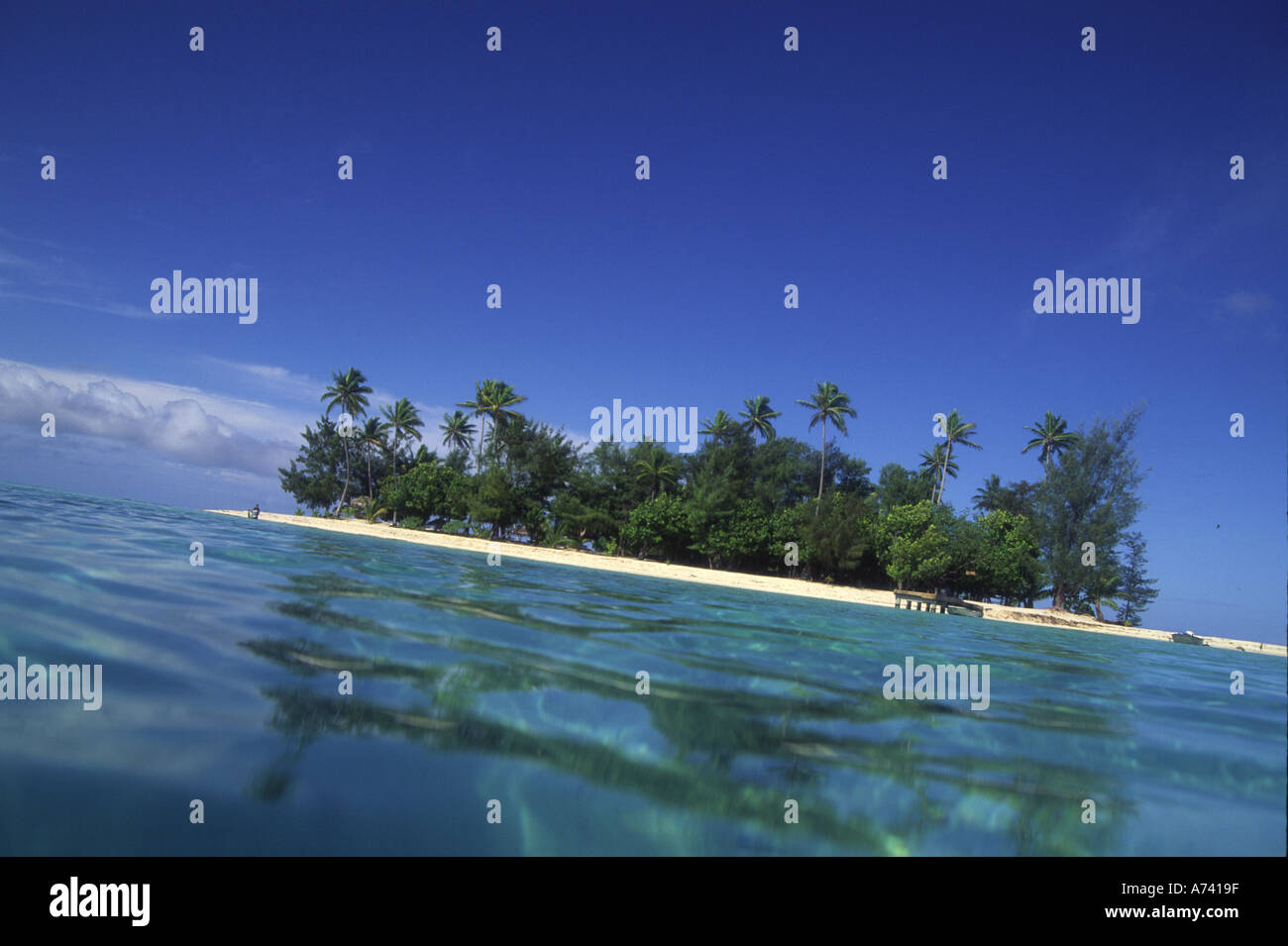 Motu Island Bora Bora French Polynesia Stock Photo - Alamy