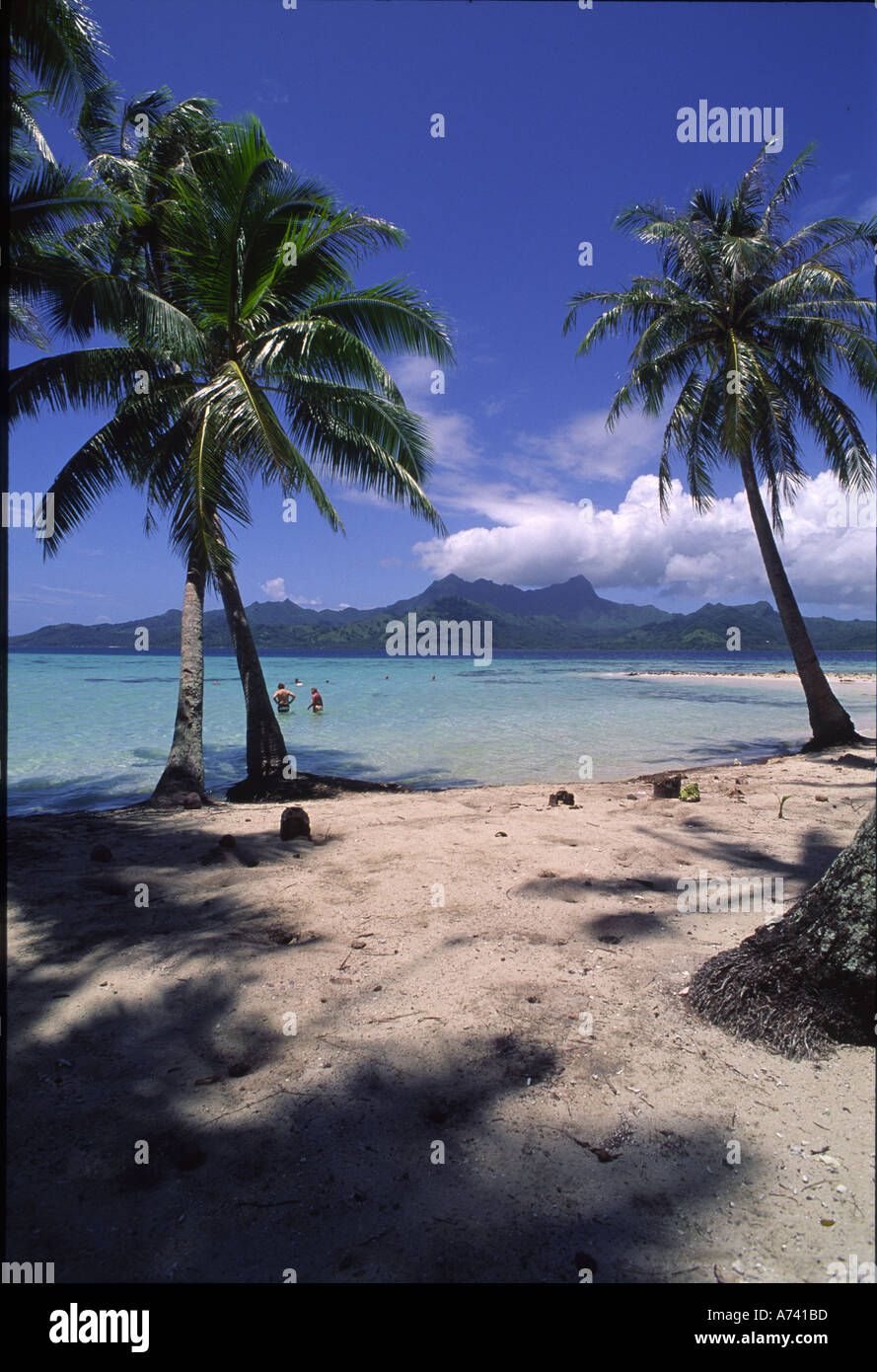 Motu island off Raiatea French Polynesia Stock Photo - Alamy