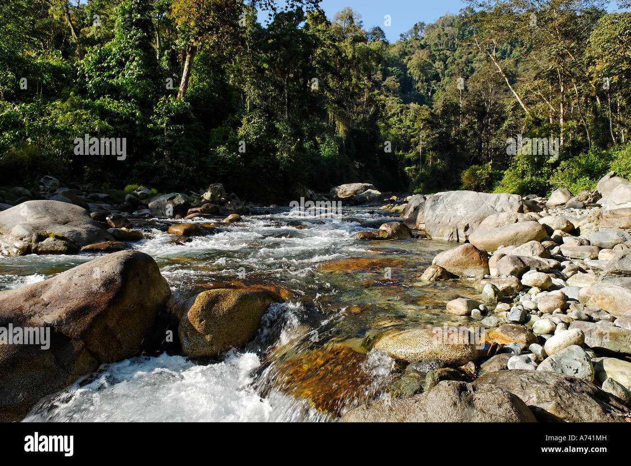 river in the Phon Kan Razi National Park Kachin State northern Myanmar ...