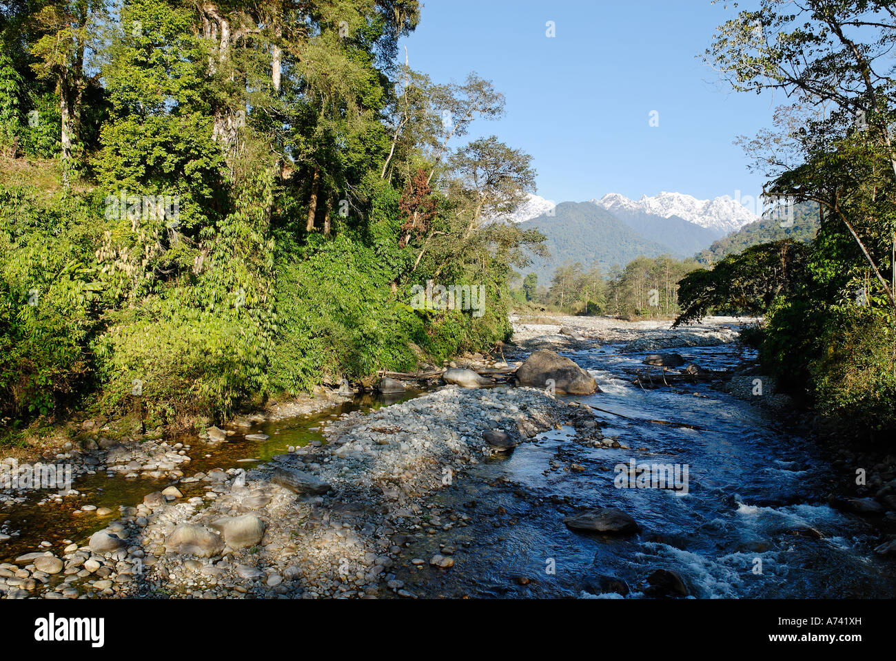 Temperate forests asia hi-res stock photography and images - Alamy