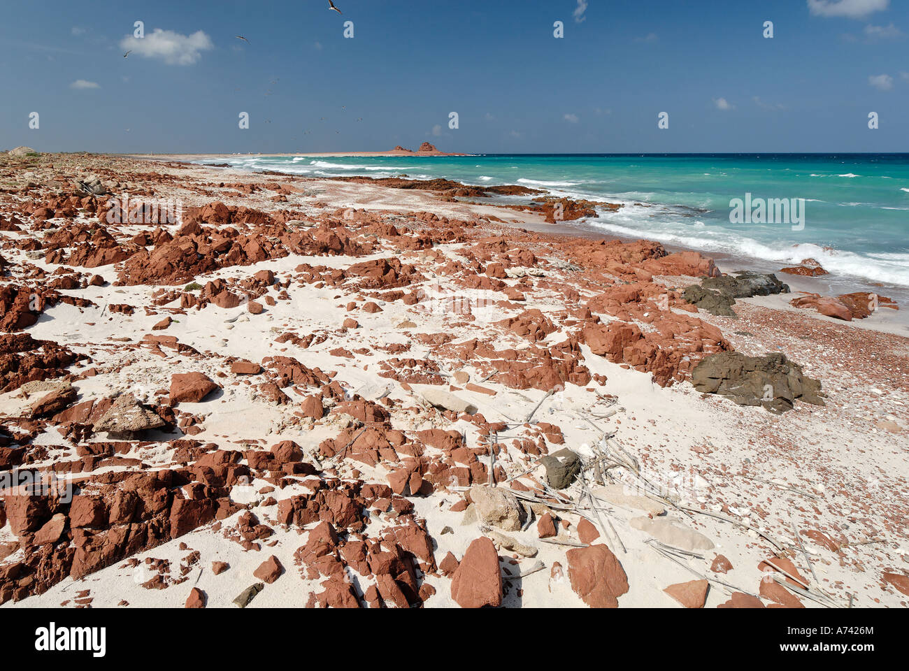 Cape Di Hamri Socotra island Yemen Stock Photo - Alamy