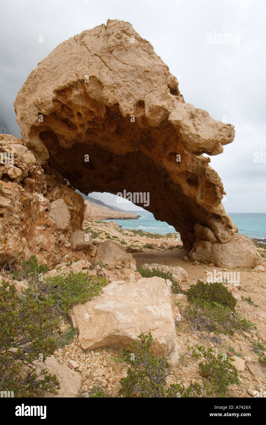 Suqutra yemen hi-res stock photography and images - Alamy