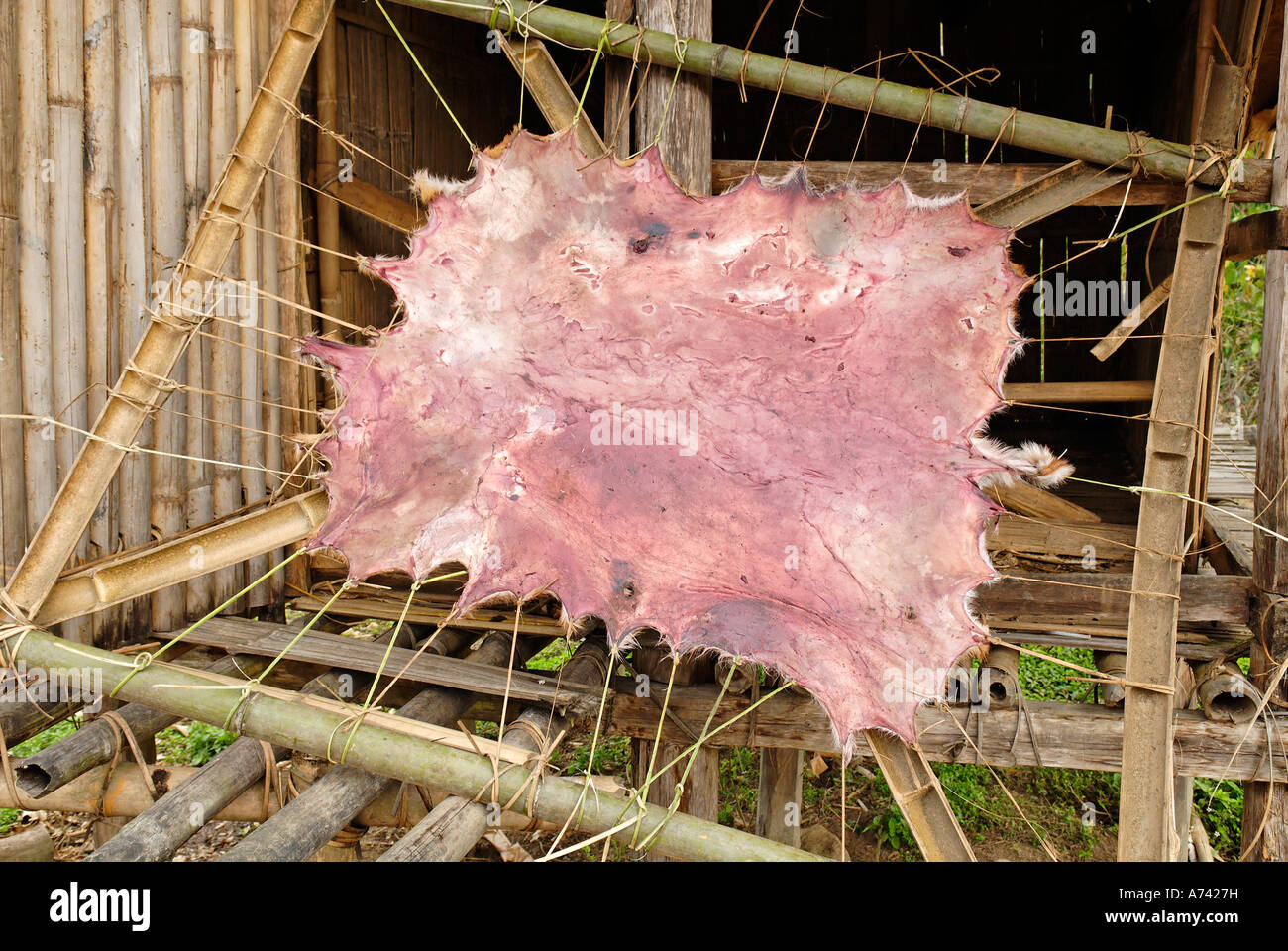 Bloody trade hi-res stock photography and images - Alamy