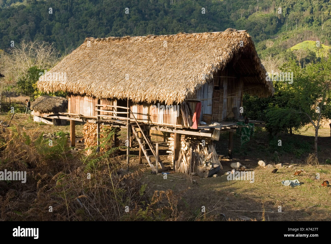 traditional Rawang house in the Phon Kan Razi area Kachin State ...