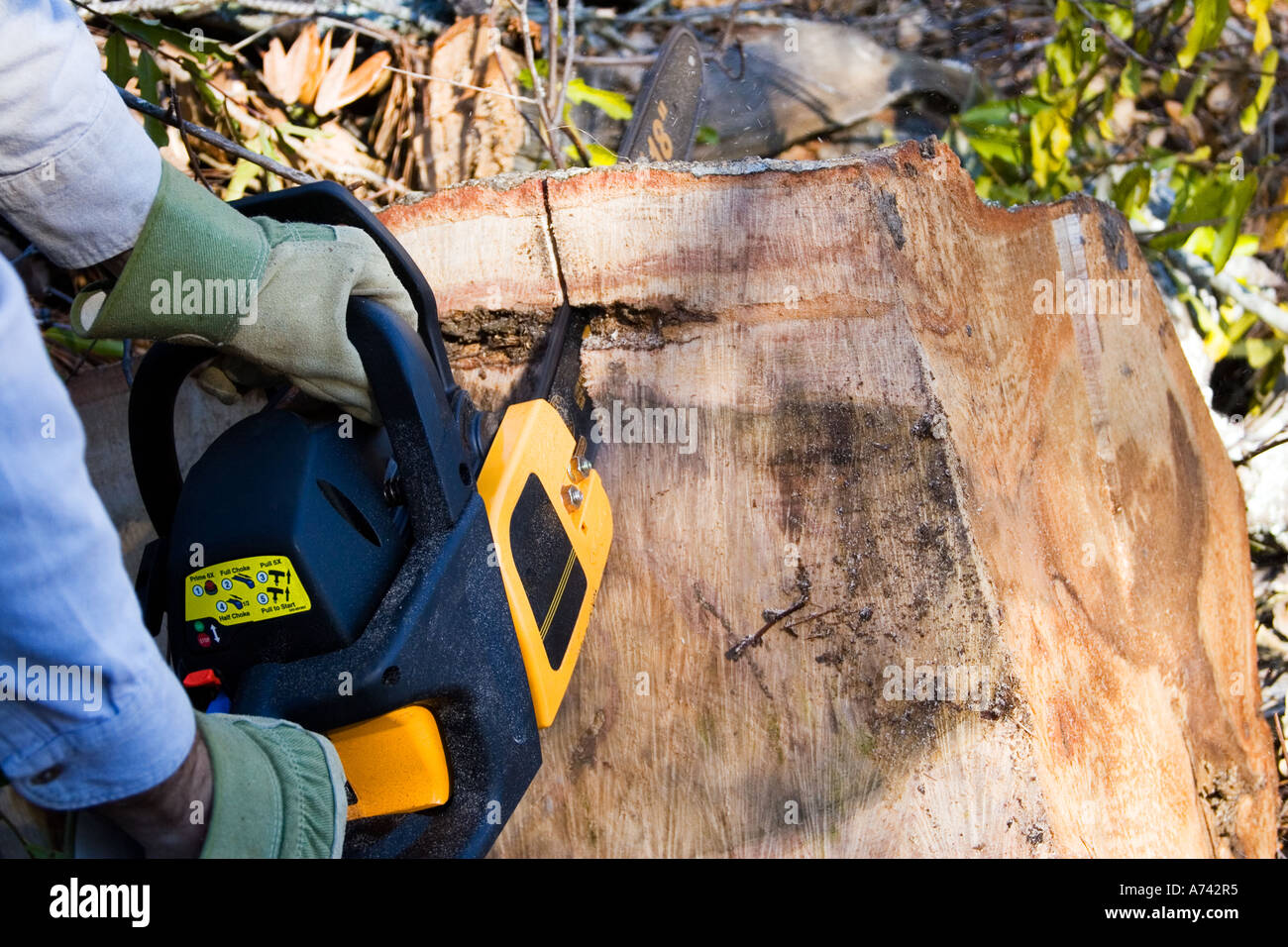 Power wielding hi-res stock photography and images - Alamy